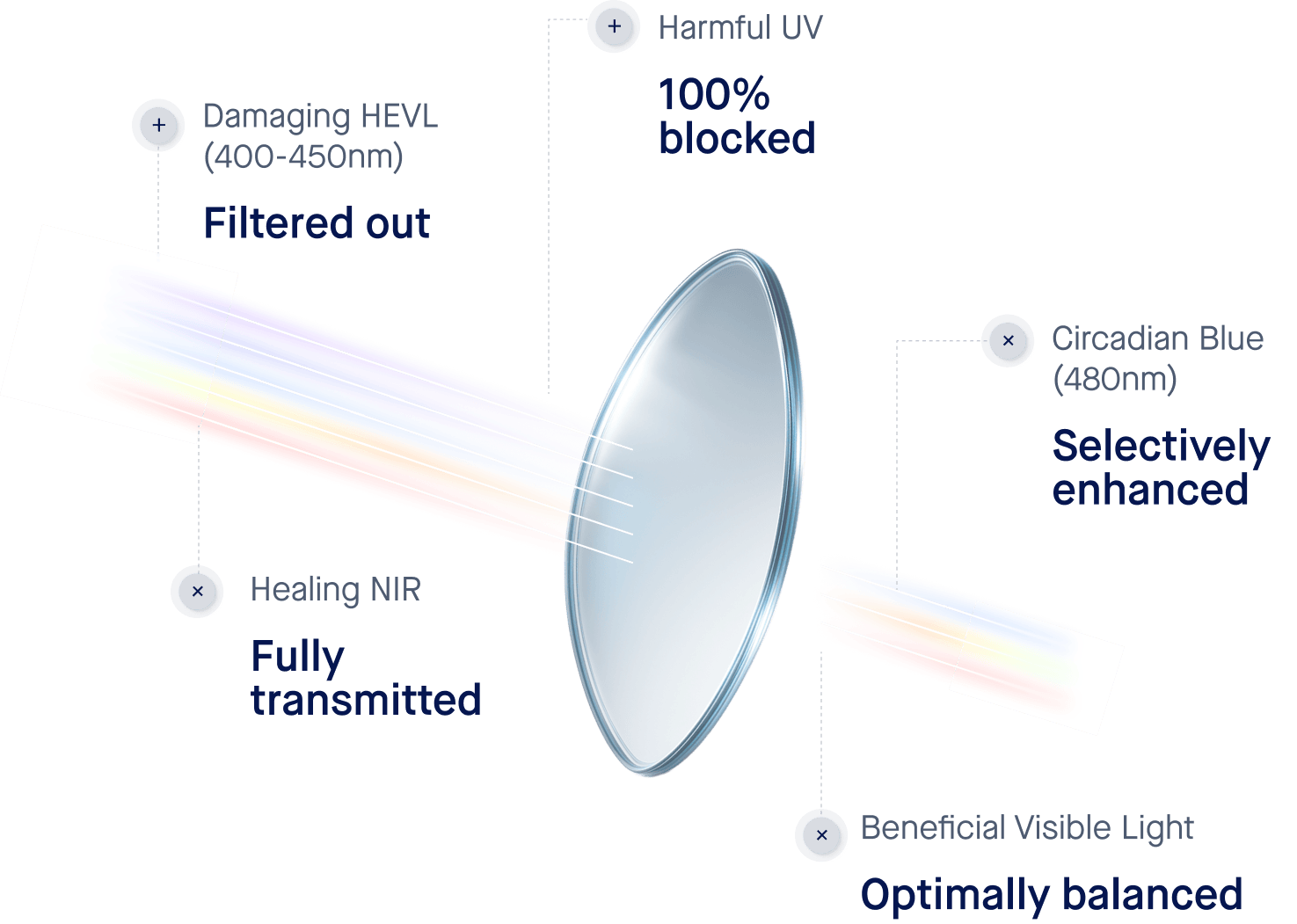 Maxwell BlueSync – Ra Optics
